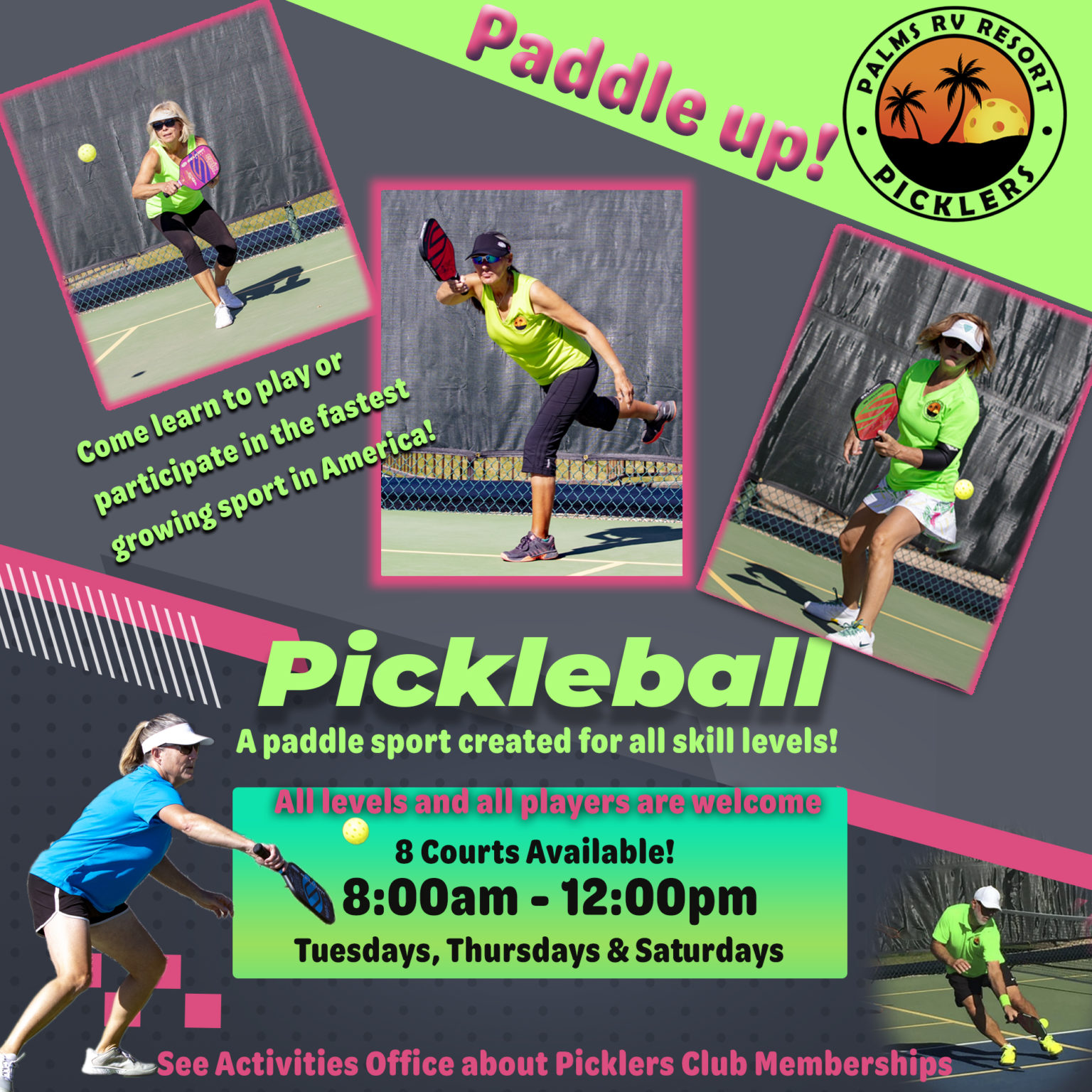 Pickleball at the Palms » The Palms RV Resort